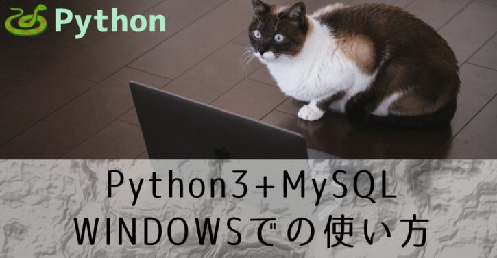 Pythonの設定ファイル管理まとめsettings Ini Json 形式別 コピペサンプルコード付き Kodocode