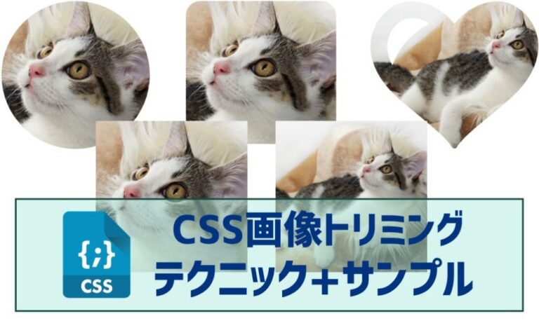 Animate.cssの使い方まとめ。サイトに手軽にアニメーションを実装 [CSS3ライブラリ] | KodoCode